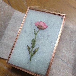 REAL FLOWER LIGHTER Pink Refillable Lighter With Real Pressed | Etsy