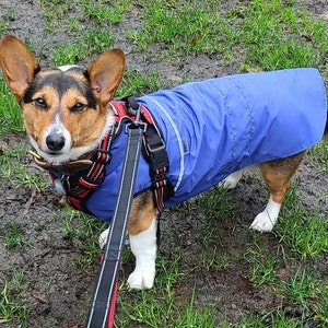 Rain jacket for dog Corgi raincoat Raincoat for dog | Etsy