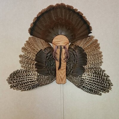 Turkey Tail/wing Mount. - Etsy