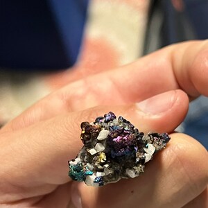 Old Stock: Agate Fossilized Coral Specimen From Tampa Florida - Etsy