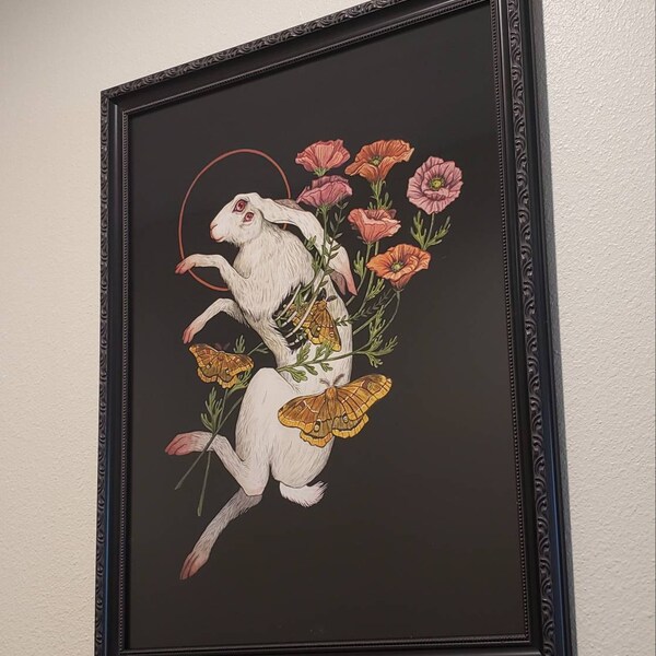 White Rabbit With Poppy Flowers- Giclee Print From Original Hand ...