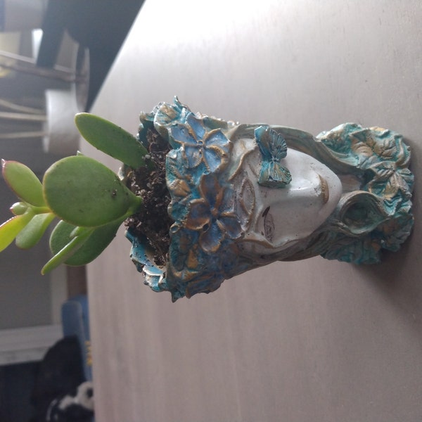 Skull Cement Planter Set Hear No Evil See No Evil Speak No Evil Plant ...