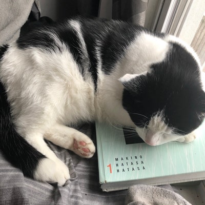 UNICULT Beret - Etsy