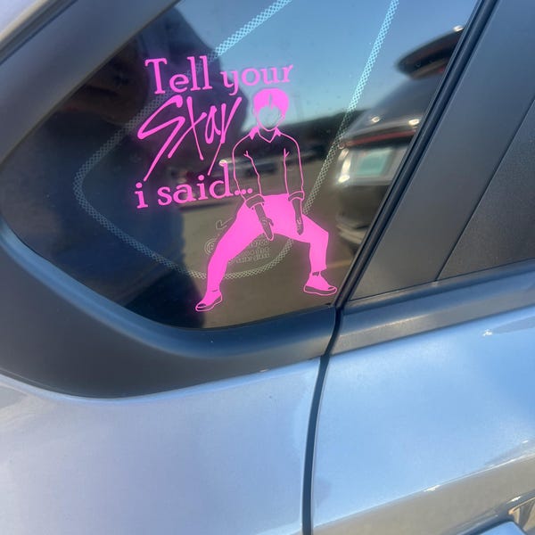 Stray Kids STAY Pose Decal - Etsy