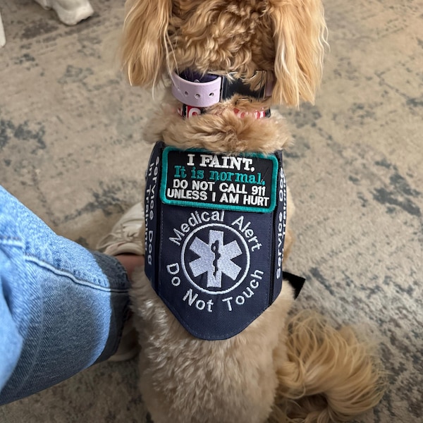 Pocket Upgrade, Custom Dog Vest Add-on - Etsy
