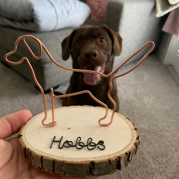 Wire Sculpture of Labrador Retriever, Golden Retriever, Personalize ...