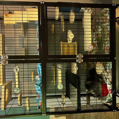 Crazy Critter 11 Pc Kiln Dried Pine Chinchilla//rat//degu//squirrel ...