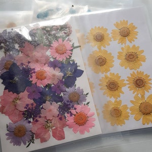 Dried Pressed Flowers and Leaves for Resin Cast Floral - Etsy
