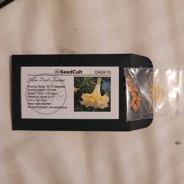 Yellow Devil's Trumpet Flower Seeds, Datura DA0410 - Etsy