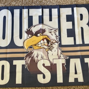 Custom Flag 3x5 Festival Flag Rave Flags EDC EDM Flag - Etsy