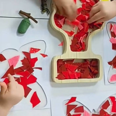 HUMAN BRAIN brain Parts Brain Functions 32 Editable Montessori Cards ...