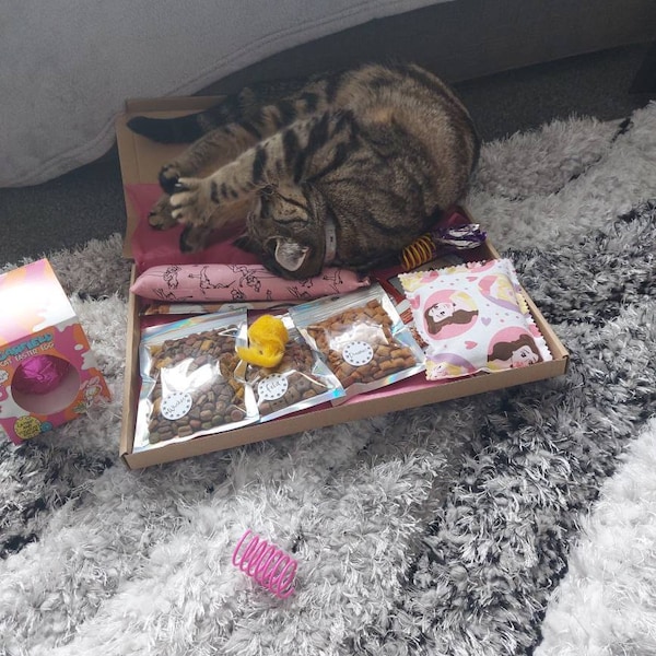 Cat Toy and Treat Gift Box, Cat and Kitten Hamper, Cat Pamper Box ...