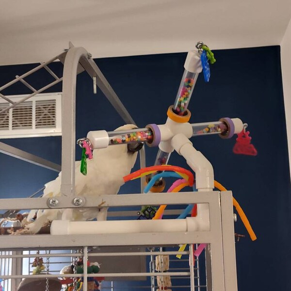 3/4" PVC Travel, Bath & Shower Parrot Perch With Treat Cups! **FREE ...