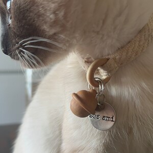 Cat Tag, Cat ID Tag, Small Pet Tag, Cat Name Tag, Microchipped Tag ...