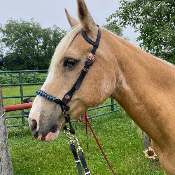 Bitless Riding Set Indian Bosal Natural Horsemanship Yacht Rope - Etsy