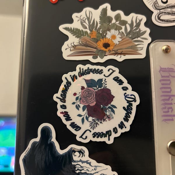 Wooden Hanging Bookshelf Genre Sign Kit, Library Shelf Decor, Bookish ...