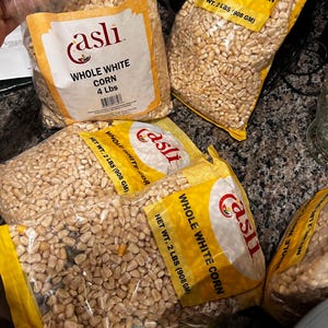 Abere Seeds (hunteria Umbellata) 30 Seeds Ships Quick - Etsy