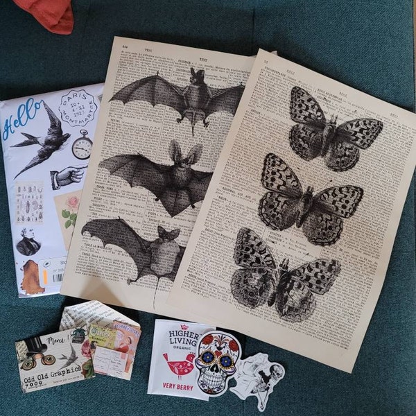 Bat Skeleton Dark Gothic Odd Scary Witch Punk Halloween Spooky Goth ...