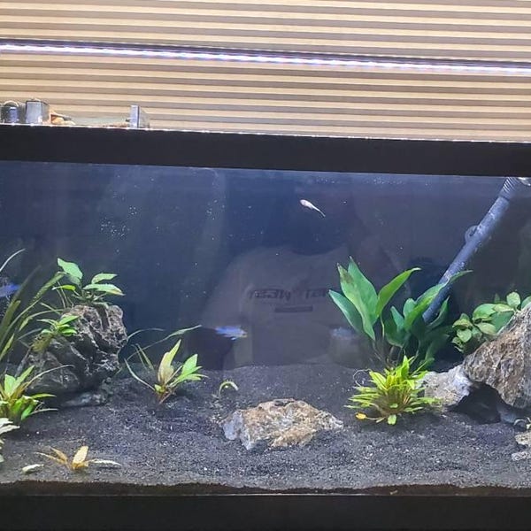 Finnex Stingray Original LED Light Riser, Attractive Stable Elevated ...