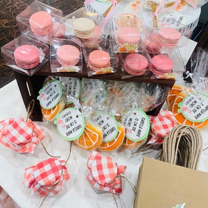 Pink French Macarons Ombre White to Pink Fading Macarons Pack Baby ...
