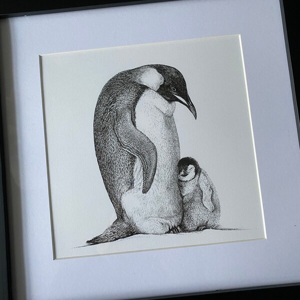 Koi Fish / 8"x8" Art Print of Original Ink Drawing / Animal Art - Etsy