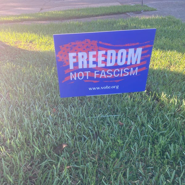 What is Democracy, Vinyl Democracy Sticker, Indoor/outdoor, Multiple ...