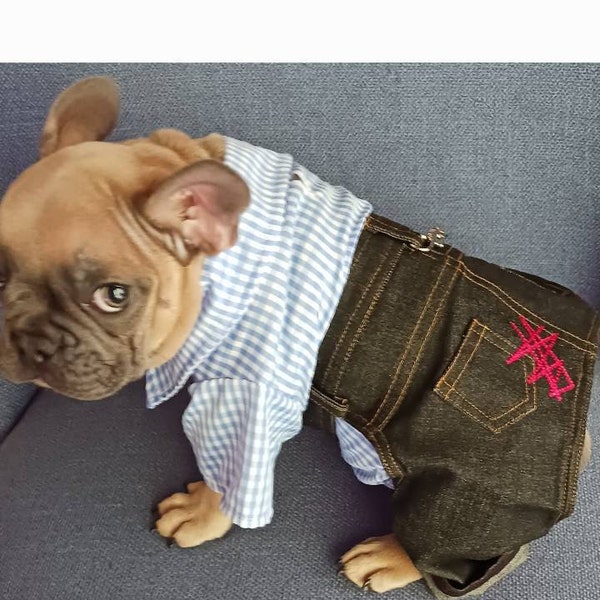 Gold Foil Dog Jeans | Denim Bottoms | Dog Pants - RLP07 - Etsy