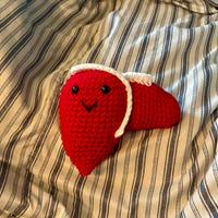 Crochet Anatomical Stomach- PDF PATTERN | Crochet Anatomy, Body Parts ...