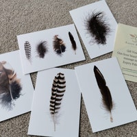 Blue Botanical Cyanotype Stickers Pack of 10 or 20 Round Glossy Labels ...