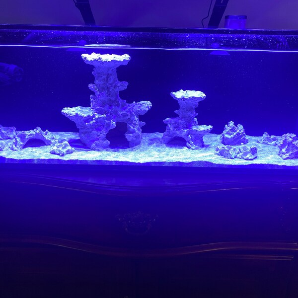 Plateau Column Reef Ceramic 30 Cm Seawater Aquarium Decoration - Etsy
