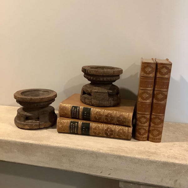 Vintage Turtle Shell Large Taxidermy Curiosities Garden Natural ...