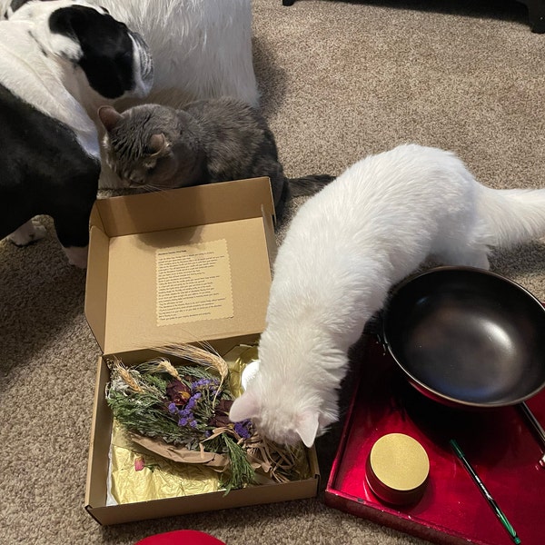 Healing Kit~ Intention Setting Ritual Kit - Etsy