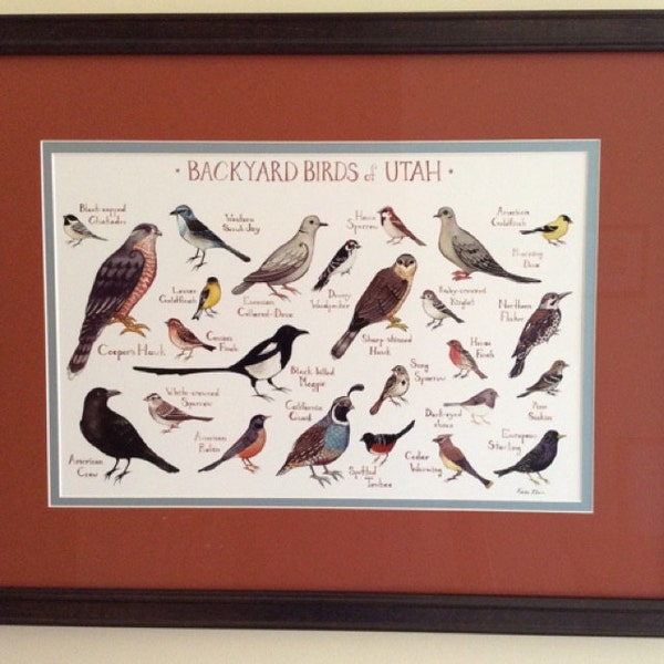 Utah Backyard Birds Field Guide Art Print / Watercolor Painting Print ...