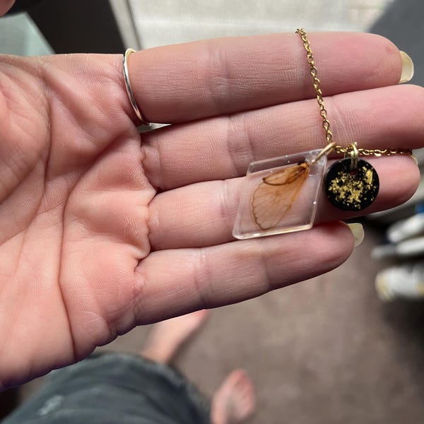 Cicada Wing Keychain - Etsy