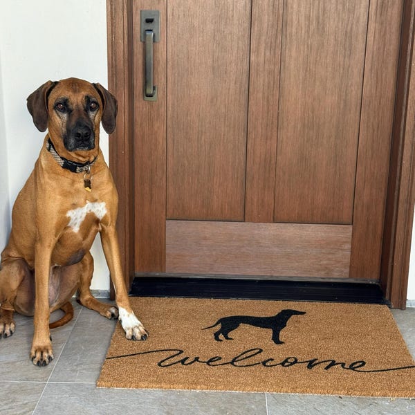 Family and Dog Welcome Mat, Family Names Doormat, Cute Dog Door Mat ...