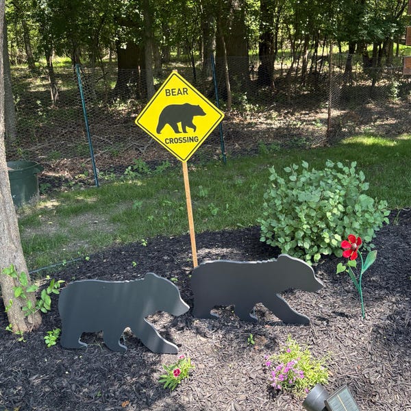 Book of 1 Samuel Made Simple Printable - Old Testament Made Simple ...