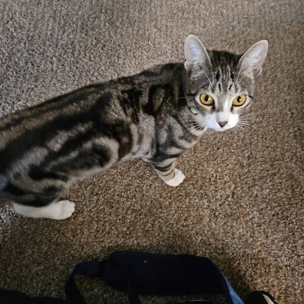 Gothic Cross Long Sleeve Tshirt |Y2K Cyber Sigilism Streetwear |emo ...