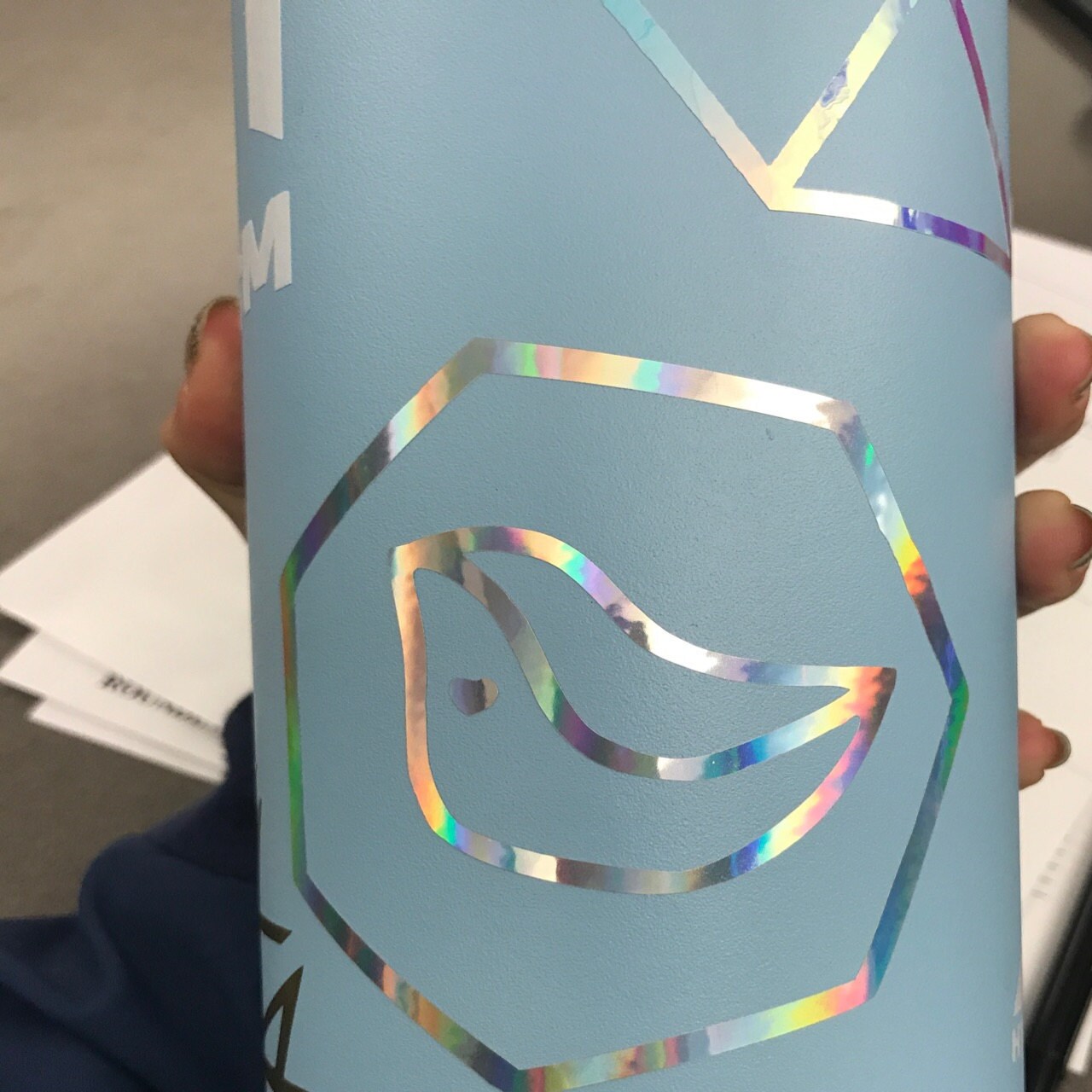 GOT7 Ahgase Bird Logo Decal