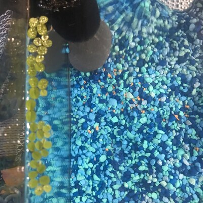 Salvinia Minima Water Spangles 20 Live Floating Aquarium Plants With 60 ...