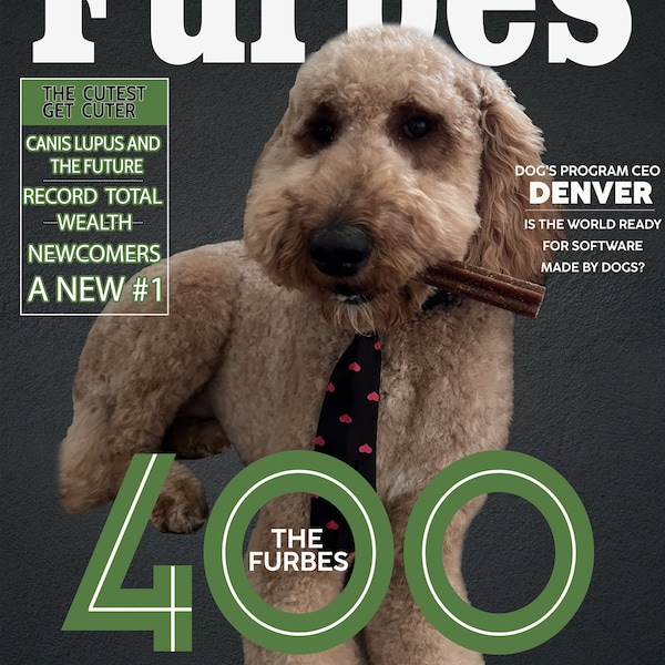 Personalized Dog Prints | Magazine Covers | Pet Portraits | Custom Pet ...