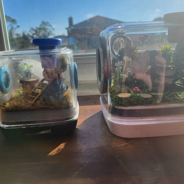 Jumping Spider Enclosure, 5x5x5 Spider House, Spider Tank, Spider ...