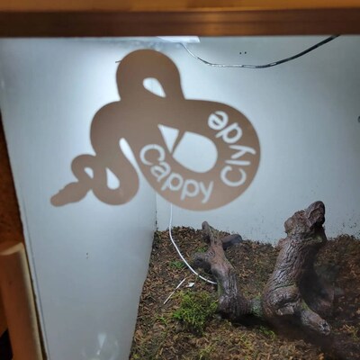 Customizable Name Ball Python Snake Vinyl Decal READ - Etsy