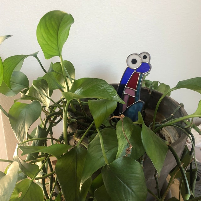 CalypsoGlassCo - Etsy