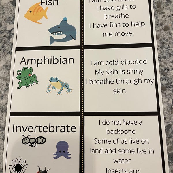 Escape From the Zoo, Escape Printable for Big Kids and Adults, Animal ...