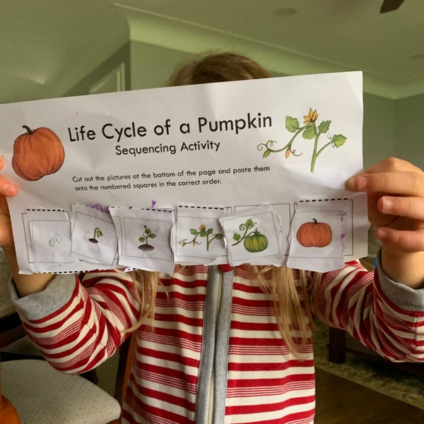 Pumpkin Mini Unit Study - Etsy