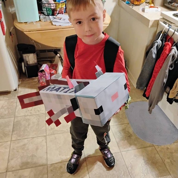 Minecraft Axolotl Valentine Box Cute Printable - Etsy