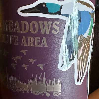 Im Fast as F Boi Blue Wing Teal Duck Sticker - Etsy