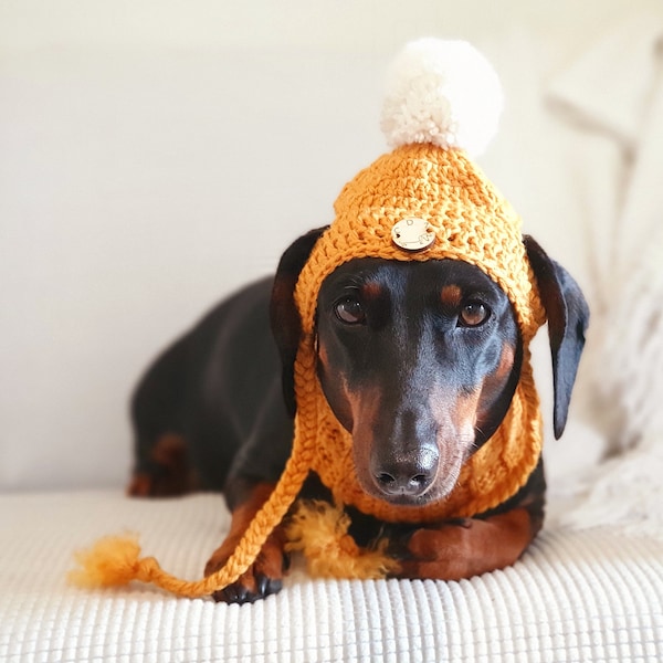 Dog Beanies, Crochet, Sausage Dog, Dachshund, Weiner Dog, Beanie, Large ...