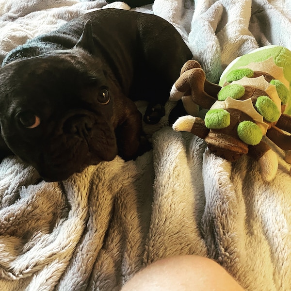 Plush Baneling, Monster Plush, Zerg Toy, Zerg Doll, Plush Monster Toy ...