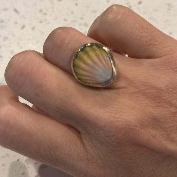 Sterling Silver Cowrie Seashell Rings - Etsy